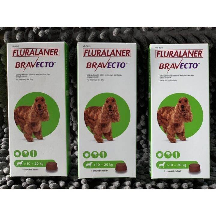 BRAVECTO CHEWABLE TABLET 500mg for 10kg to 20kg body weight | Lazada PH
