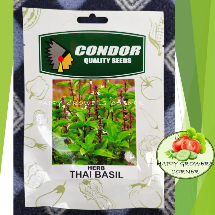 THAI BASIL (5 GRAMS) CONDOR HERB SEEDS | Lazada PH