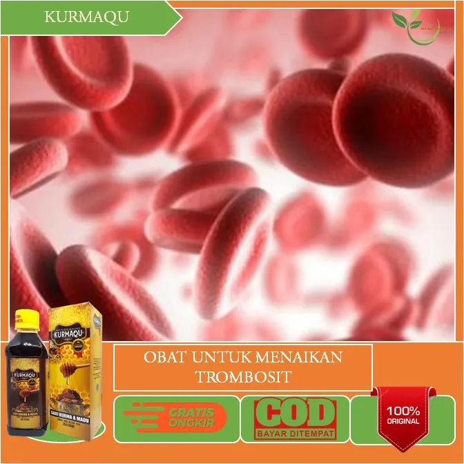 obat untuk menaikan trombosit obat penambah trombosit obat trombosit ...