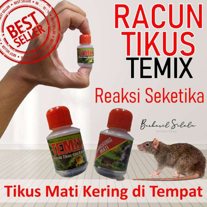 Pembasmi Pengusir Pengendali Racun Tikus Curut Musang Babi Hutan Rumah ...