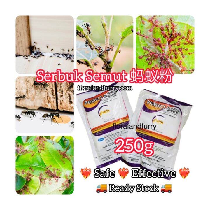 250g Persect Racun Serbuk Tepung Ubat Semut Gatal Hitam Merah Kerengga ...