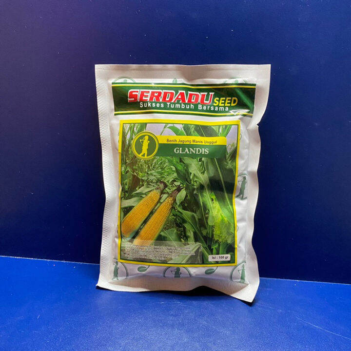 Benih jagung manis unggul Glandis 100 gram serdadu | Lazada Indonesia