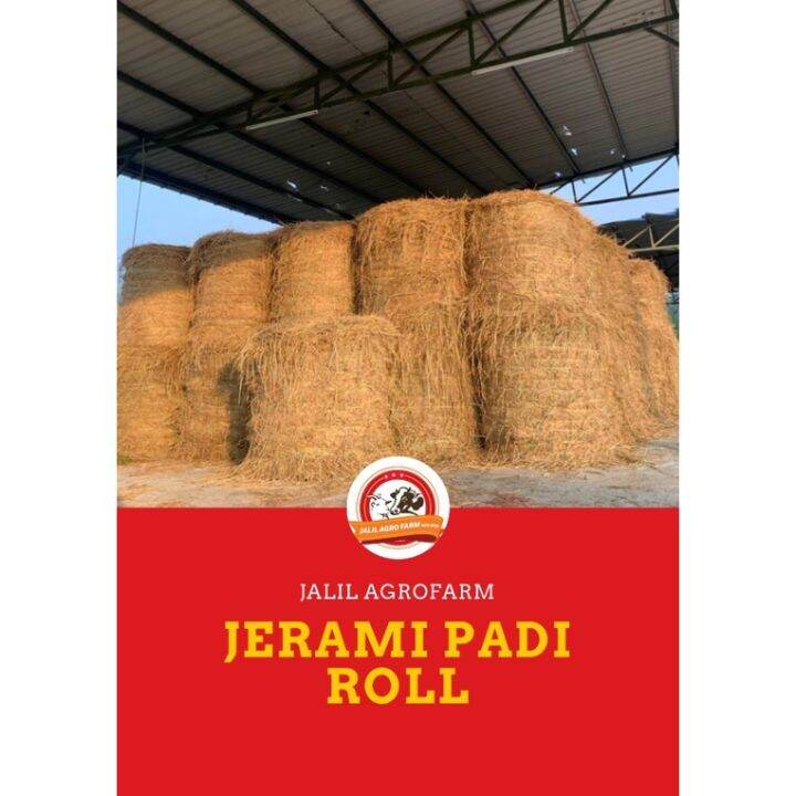 JERAMI PADI REPACK 1 KG | Lazada