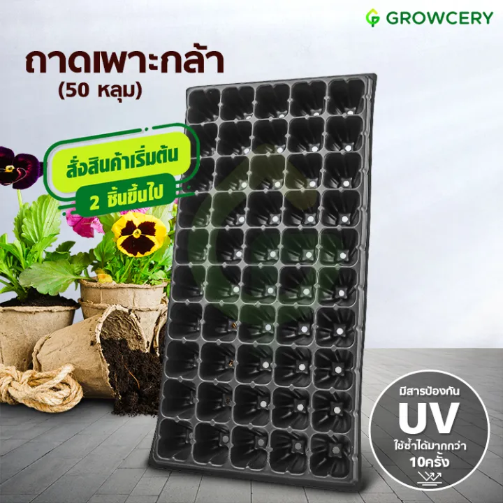 [G] ถาดเพาะกล้า ถาดหลุม ถาดเพาะ จำนวน 50 หลุม (หนา 1 มม.) **สั่งขั้นต่ำ 2 ใบ** โดย GROWCERY ...