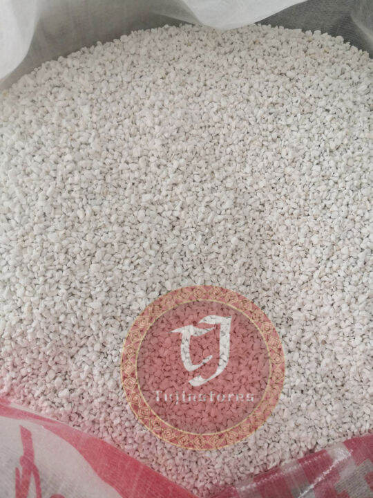 เพอร์ไลท์ Perlite แบ่งขาย (ขนาด 4-8 mm) วัสดุปลูก แคคตัส และ ไม้อวบน้ำ ...