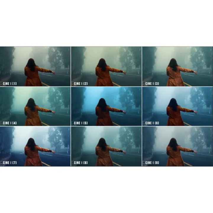 700 Film Looks LUT Color Preset Pack cube LUTs Final Cut Pro X FCPX plugin/effect/bundle/movie ...