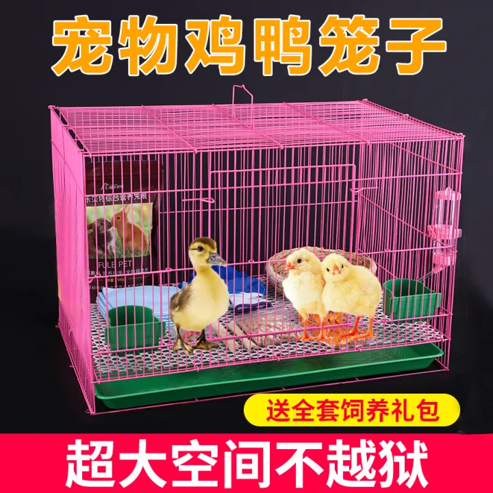 Cole Duck Cage Anti Spray Urine Breeding Small Rutin Chicken Nest Cute