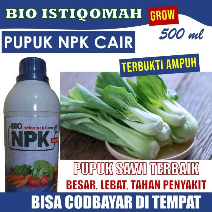 PUPUK PELEBAT Sawi 500 ML - Bio Istiqomah Grow Obat Pelebat Sawi Anti Penyakit dan Hama Sawi ...