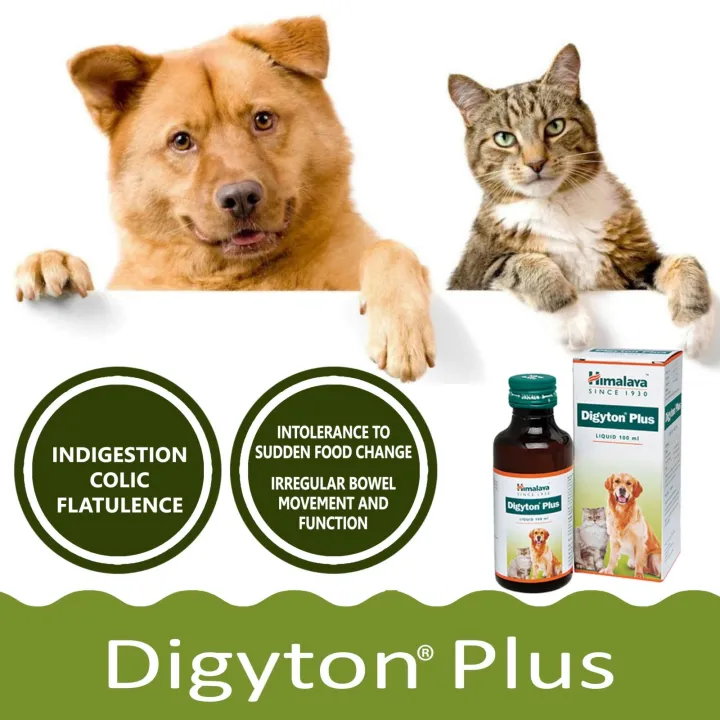 Himalaya Digyton Plus Digestive Stimulant For Dogs And Cats 100ml ...