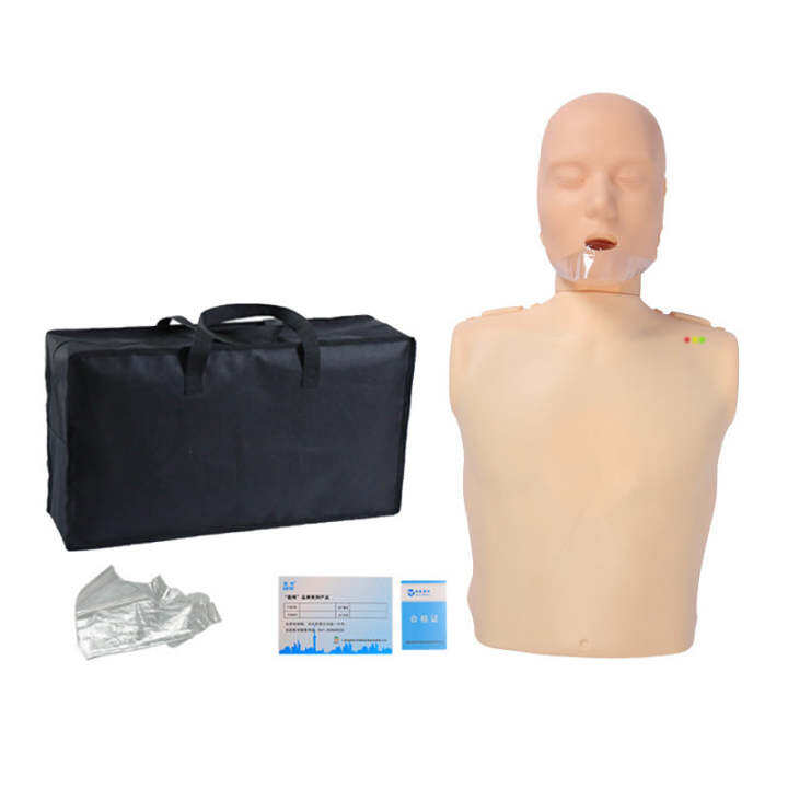 Human Body Model for Cardiopulmonary Resuscitation Simulation Training ...