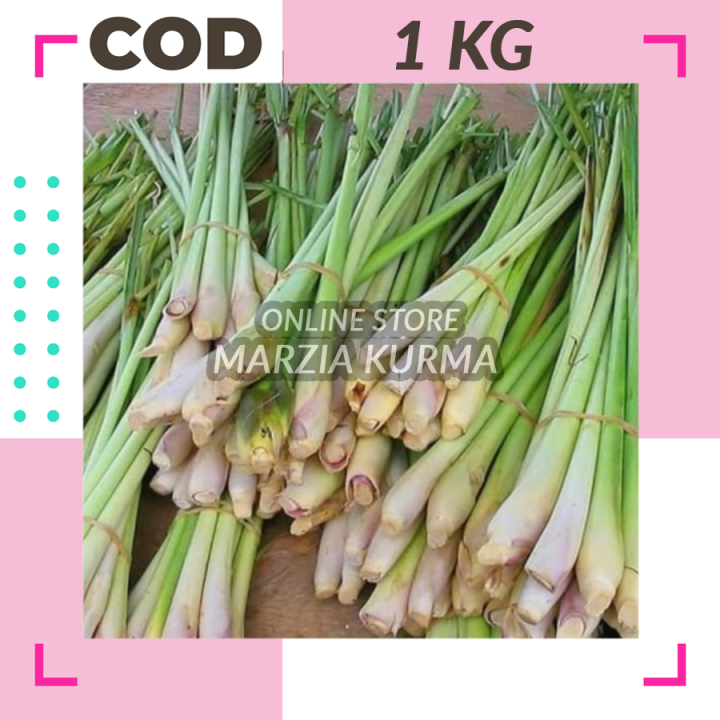 Serai / Sereh Segar 1kg Grade A | Lazada Indonesia