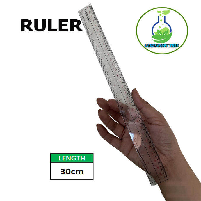 Ruler Plastic 30cm Long | Lazada PH