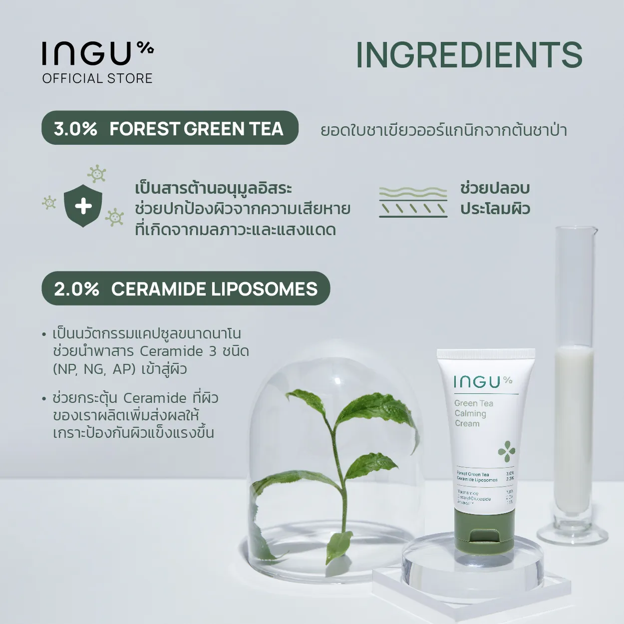 INGU Green Tea Calming Cream อิงกุ กรีนที คาล์มมิ่ง ครีม As the Picture ...