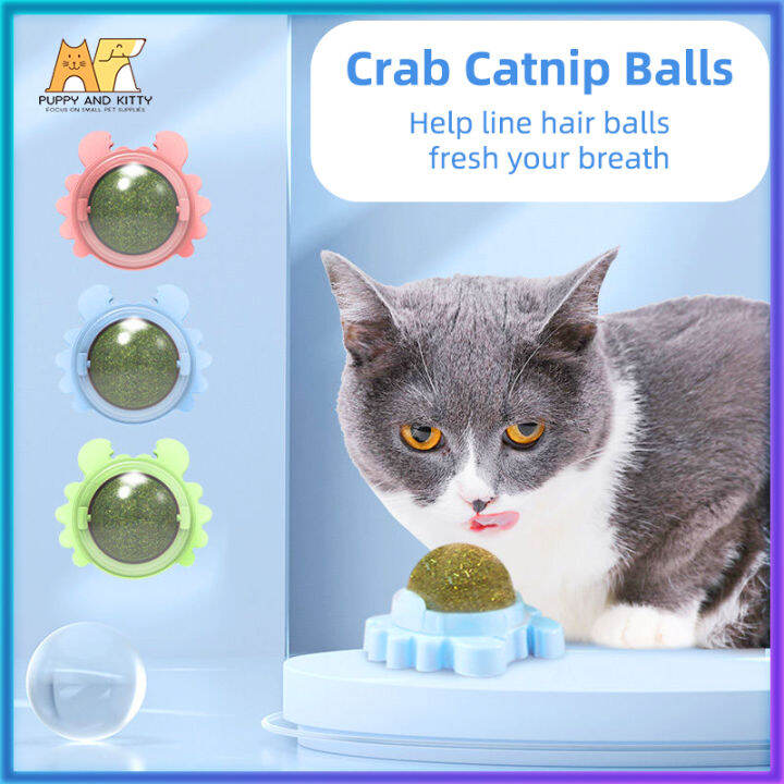 Cat mint ball Catnip cat snack treats toy ball | Lazada PH Cat mint ball Catnip cat snack treats toy ball | Lazada PH