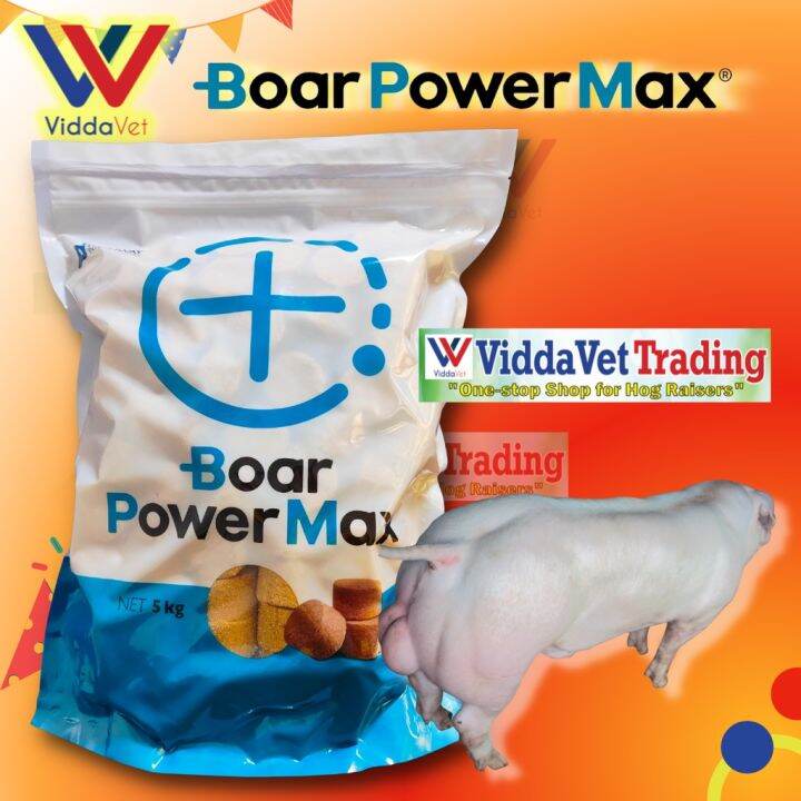 1 kg/5 kg Boar Power Max Boar Supplement Boar semen enhancer Boar ...