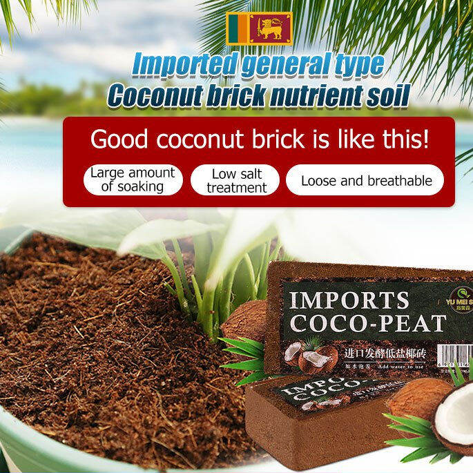 scuc 【1/2PCS】Universal coconut brick nutrient soil | Lazada PH