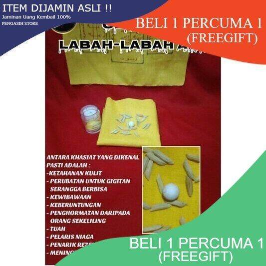 Geliga Labah-Labah Air ASLI‼️ (Jenis Kecil) | Lazada