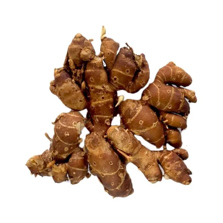 Kencur Segar dan Berkualitas 500 Gram | Lazada Indonesia