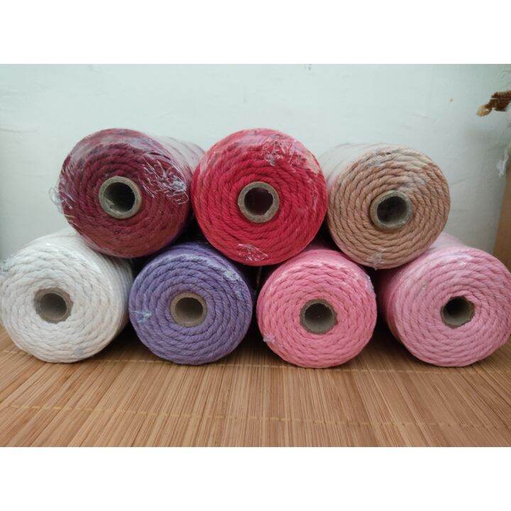 Macrame Twisted Colored Cotton Rope 3mm (100m 200m) Batch 1 | Lazada PH