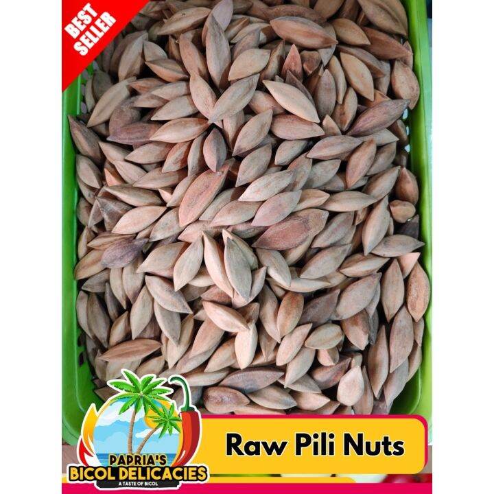 hot 500grams Raw Pili Nuts Fresh from Bicol with Shell | Lazada PH