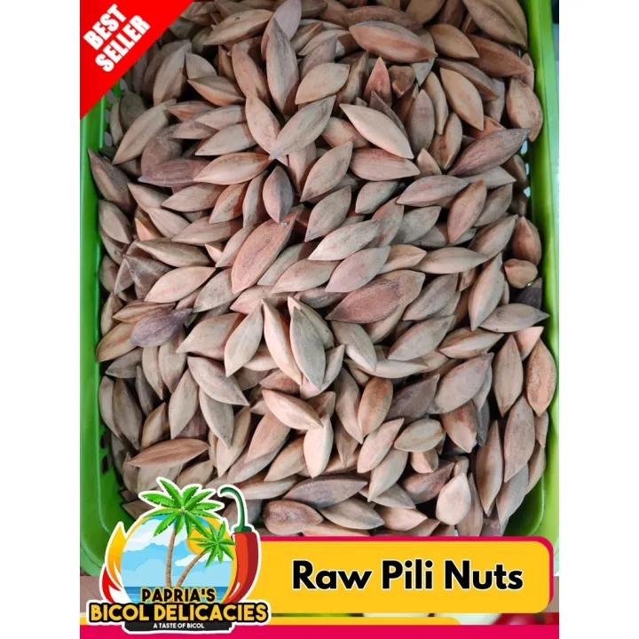 Snacks 500grams Raw Pili Nuts Fresh from Bicol with Shell | Lazada PH