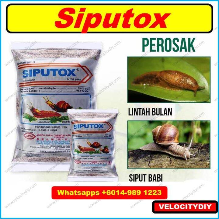 （杀螺药蜗牛药）Molluscicides Kill Snail Racun Siput Snail Pallet ±500gm | Lazada