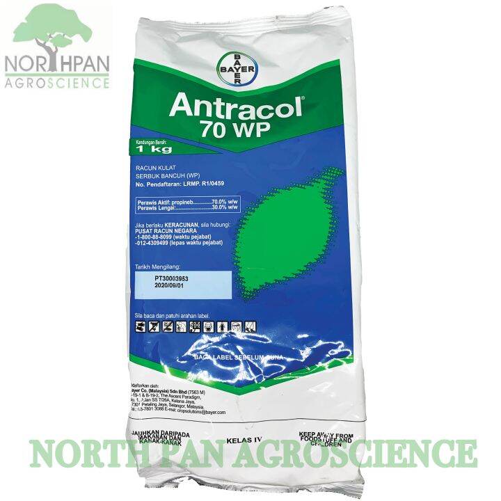 Antracol 70WP 1KG / Fungicides / Bayer | Lazada