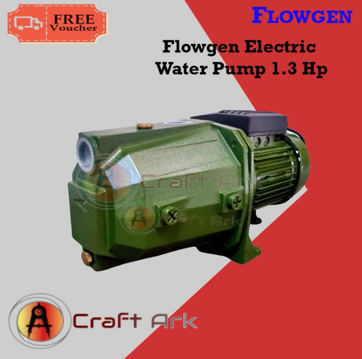 Flowgen Electric Water Pump 1 Hp | Lazada PH