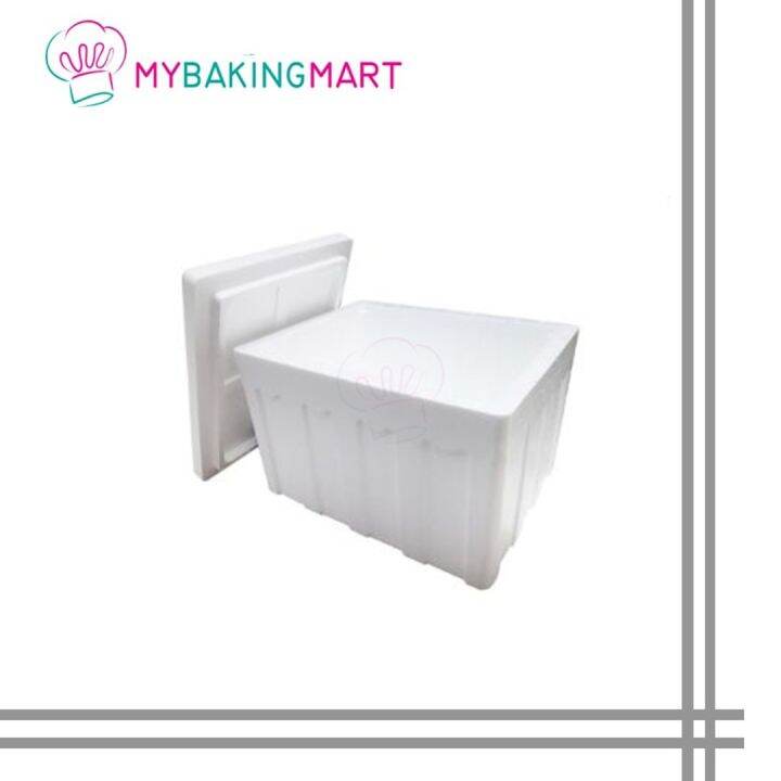 Medium Styrofoam Polistrine Ice Box (M3) / Cooler Box / Foam Box / Tong ...