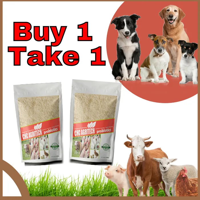 Buy 1 take 1 CHC Agritech Probiotics 100g- Pets Dogs Cats Pigeon Rabbit ...