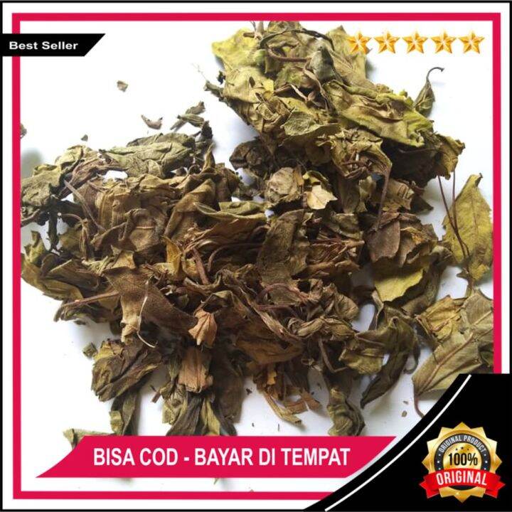 Daun Kemanden Kering Asli 1kg Daun Senggani Kering 100% Asli dan Alami ...