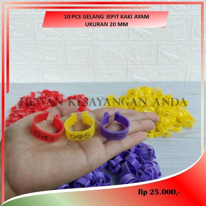 Gelang Jepit Kaki ayam/ring kaki ayam ukuran 20mm/2CM dengan NOMOR ...