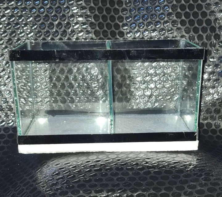 4X8 aquarium glass tank with divider for betta AND small fish | Lazada PH