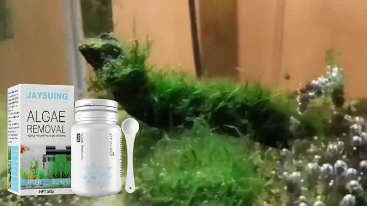 Algae Removal Tablet Pond Sludge Remover Aquarium Cleaning Tools Fish ...