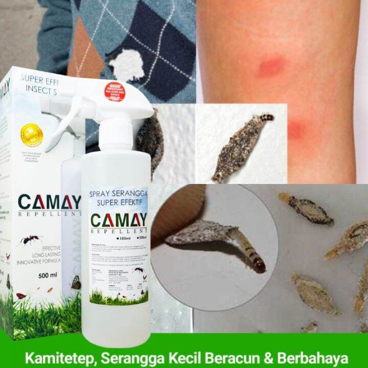 CAMAY SPRAY KAMIP, KUTU DAN ULAT DINDING NATURAL INSECT SPRAY WITH 🎁 ...