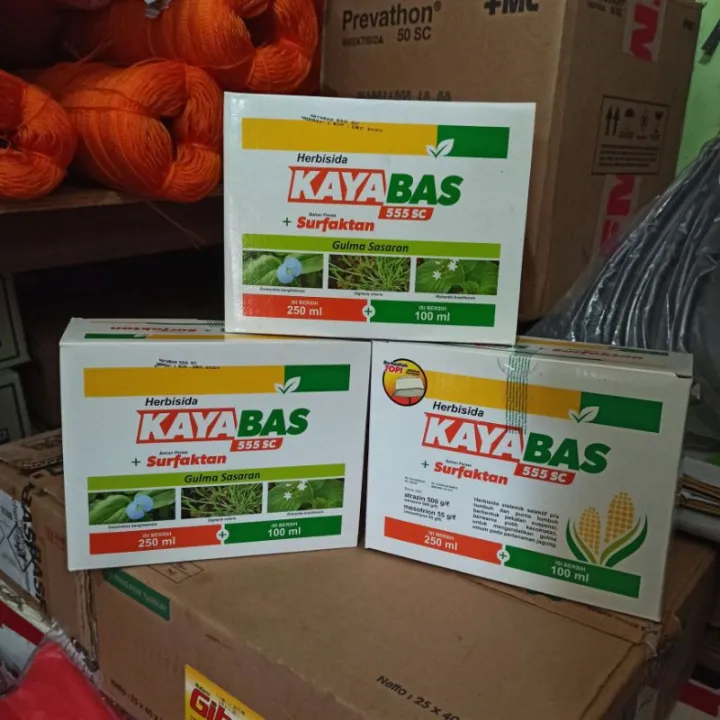 HERBISIDA KAYABAS 555 SC 250 ML + PERATA 100 ML PEMBASMI GULMA PADA ...