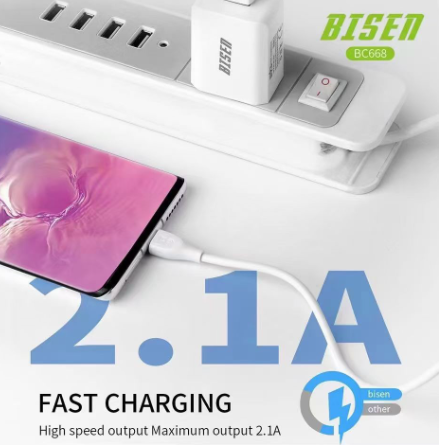 BISEN 2.1A Smart Fast Charger Adapter Android Micro USB Type C Charging ...