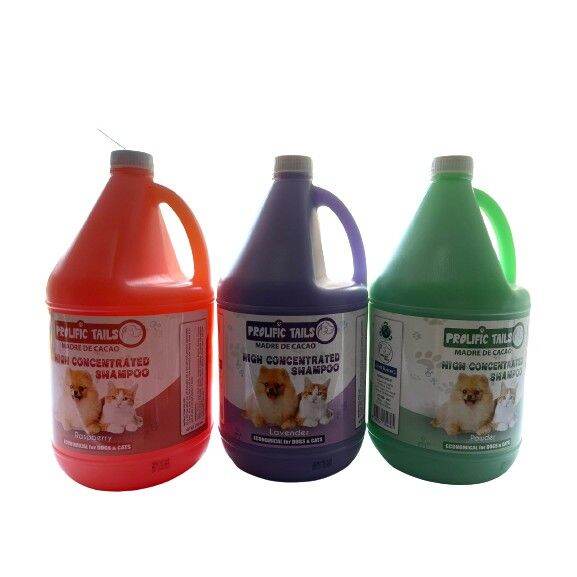 Profiic Tails 1 gallon Madre de Cacao shampoo | Lazada PH