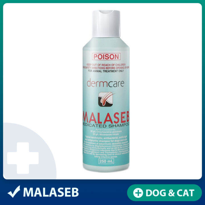 MALASEB MEDICATED SHAMPOO 250ML | Lazada