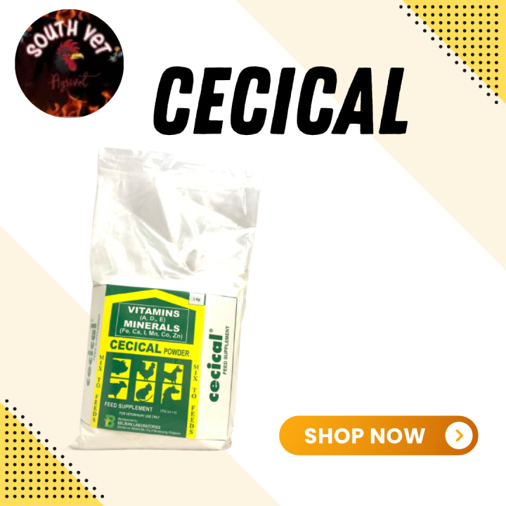 [SOUTH VET II] CECICAL POWDER 1000GRAMS FOR GAMEFOWL / VITAMINS ng ...