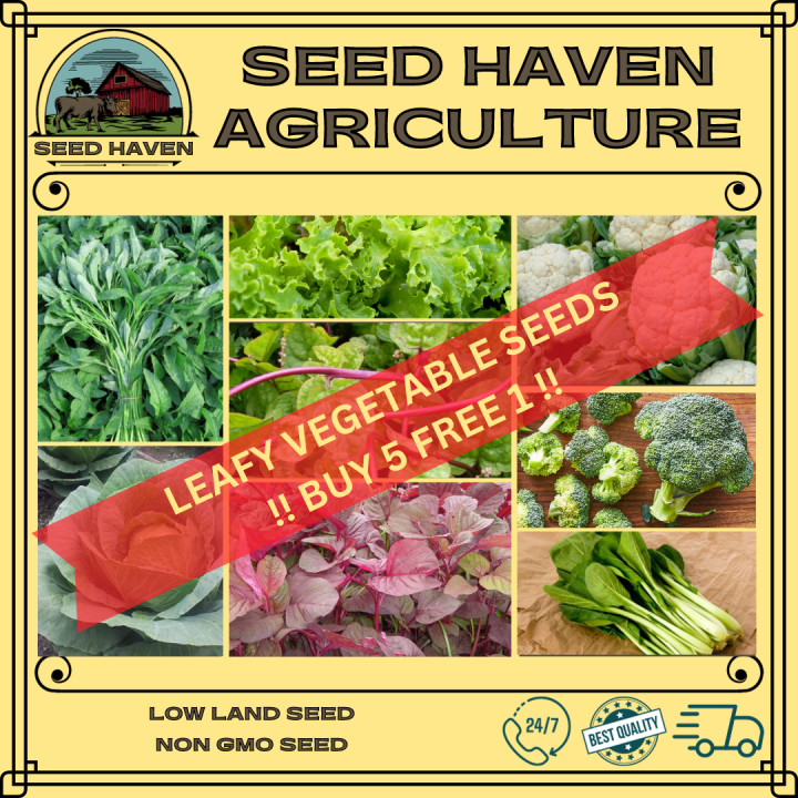 Leafy Vegetable Seeds / Benih Sayuran Berdaun - Kangkung, Bayam, Sawi ...