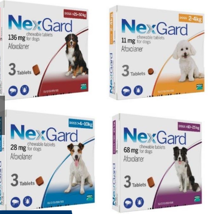 NexGard ® flea and tick protection for dogs | Lazada PH