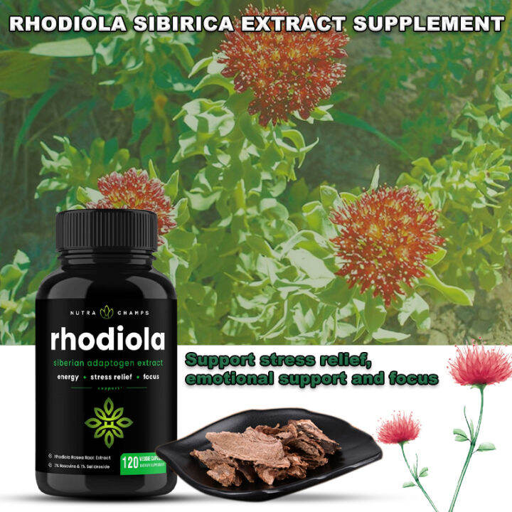 Rhodiola Rosea Capsules | Siberian Rhodiola Rosea Extract Supplement ...