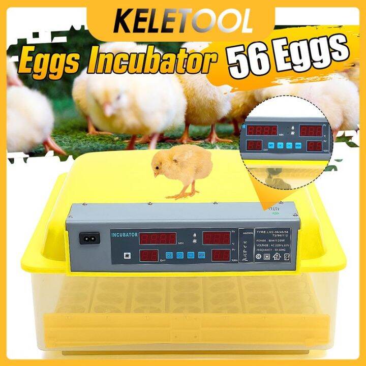 56 Eggs Farm Hatchery Incubator Brooder Machine Hatchers Chicken ...