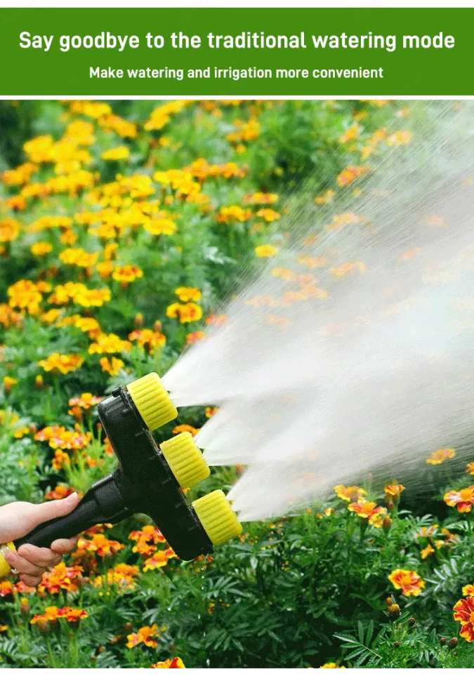 Pandilig Sa Paghahalaman