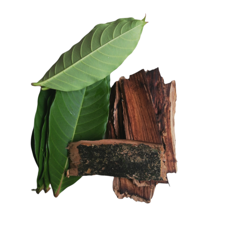 Crafty Banaba Fresh leaves 100g per pack | Lazada PH