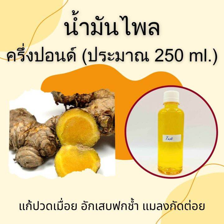 น้ำมันไพล ครึ่งปอนด์ แก้ปวดเมื่อย แมลงกันต่อย (Phlai oil) | Lazada.co.th