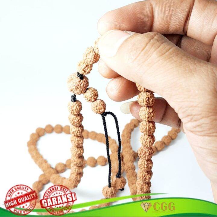 Tasbih Biji Buah Genitri Jenitri Rudraksha Original | Lazada Indonesia