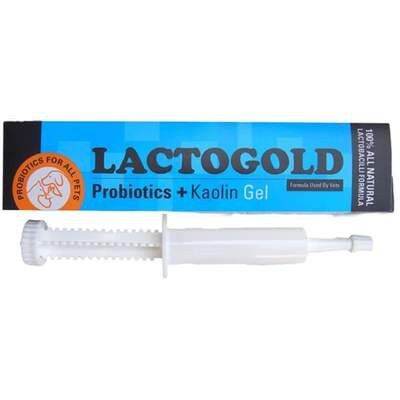 Lactogold Probiotic Gel K for Pets | Pawpy Kisses | Lazada Singapore