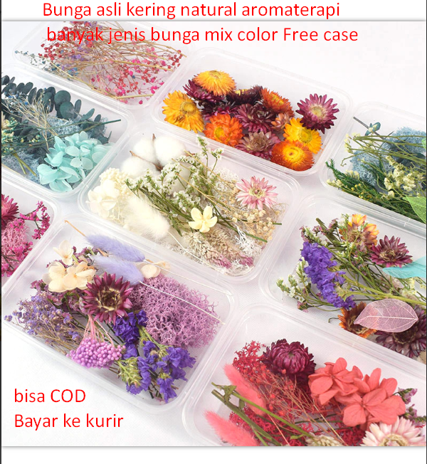 Bunga asli kering natural aromaterapi banyak jenis bunga mix color Free ...
